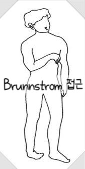 Brunnstrom 접근 : 네이버 블로그