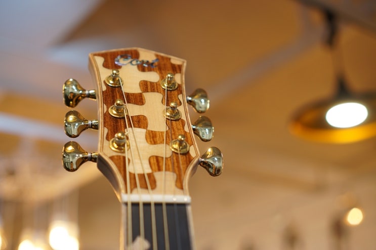 콜트 Cort 더 퍼즐 LE 아름답다 표현은 그대를 말하는 것입니다 : 네이버 블로그