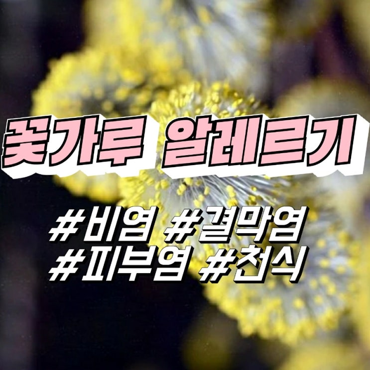 봄철 꽃가루 알레르기 증상 비염 결막염 피부염 천식 네이버 블로그