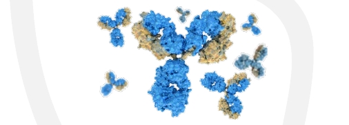 [Product Guide] Monoclonal Antibodies_Biosynth Carbosynth - 코아사이언스 ...