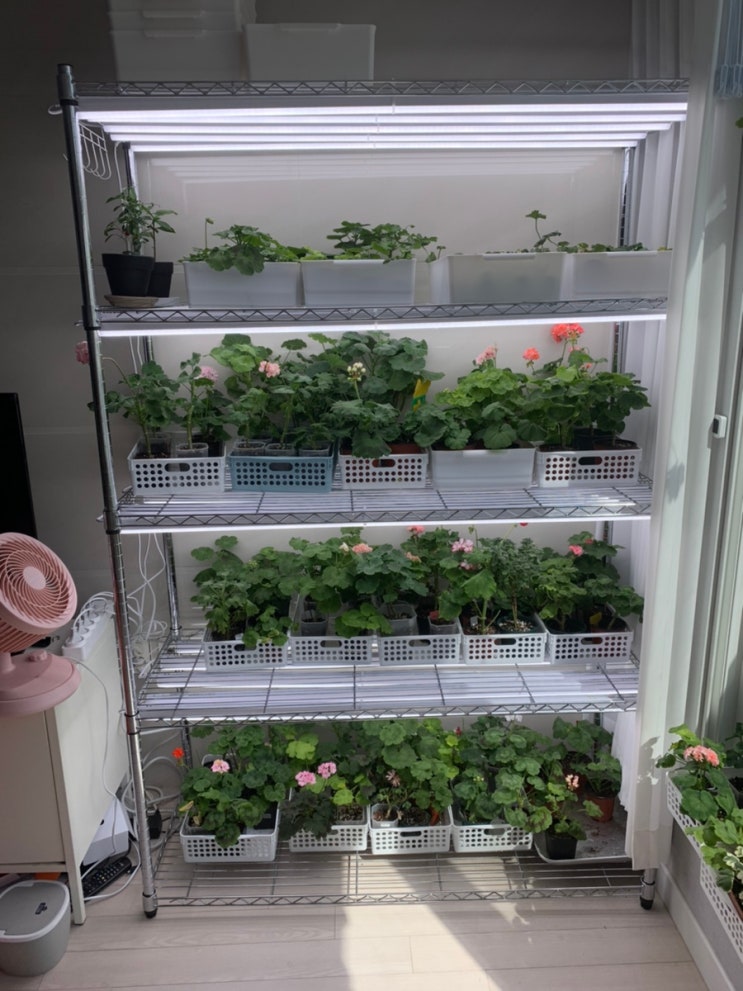 식물등,선반교체 : 네이버 블로그