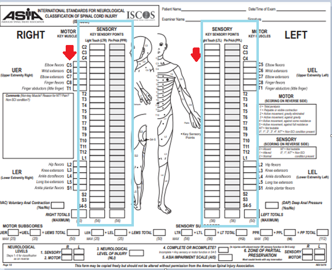 ASIA scale(2) : 네이버 블로그