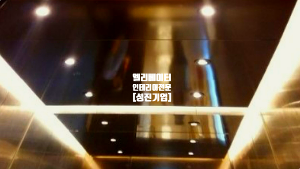성진기업 엘리베이터 인테리어 엘리베이터 리모델링 티타늄 브론즈 대형 엘리베이터 네이버 블로그
