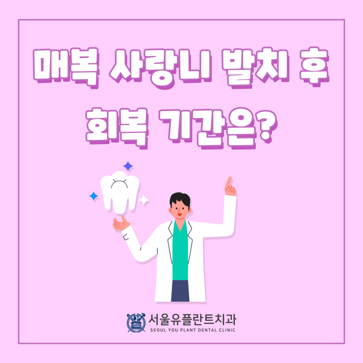 매복 사랑니 발치후 회복 기간 얼마나 걸리나요 네이버 블로그