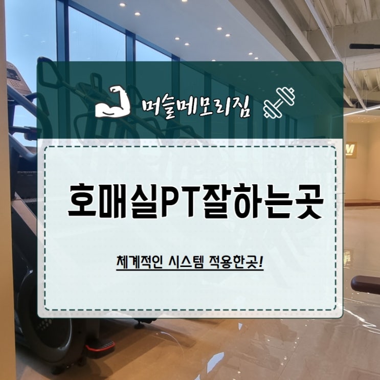 호매실헬스금곡동헬스머슬메모리짐 체계적인 시스템 적용한 곳 네이버 블로그