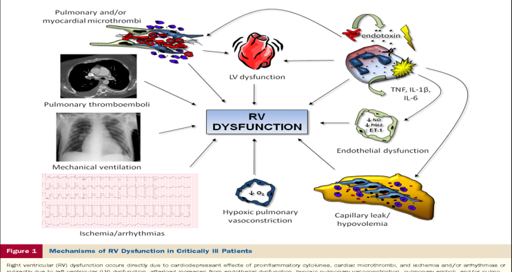 RV function : 네이버 블로그