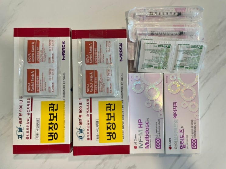 신선2차 과배란 시작 : 네이버 블로그