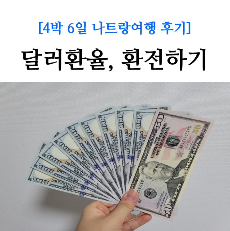 달러 환전 후기 1440돌파 미쳤다 신한은행 환율우대90 눈치게임 실패 네이버 블로그