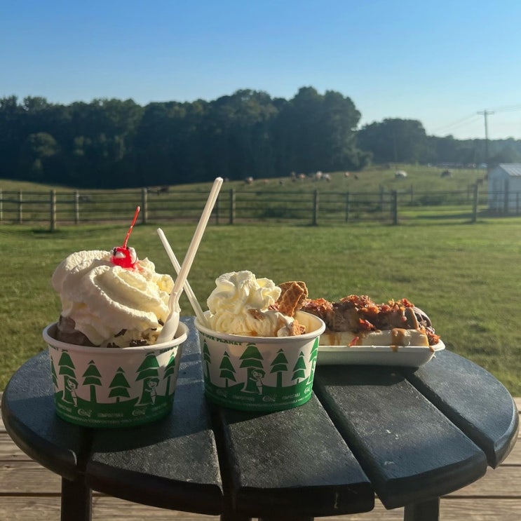 노스캐롤라이나 일상 | 우유 아이스크림과 평화로운 목장의 Howling Cow Dairy Education Center and ...