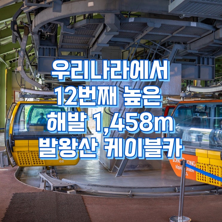 발왕산 케이블카 스카이워크 가격 요금 할인 정보 예약 주차 운행시간 강원도 평창 용평리조트 네이버 블로그