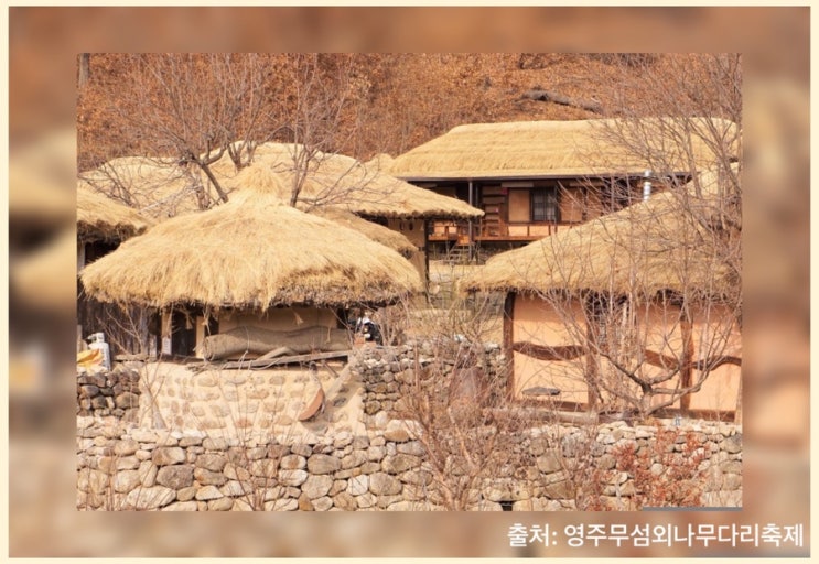 영주 무섬외나무다리축제 기본정보 영주 무섬마을 여행 네이버 블로그