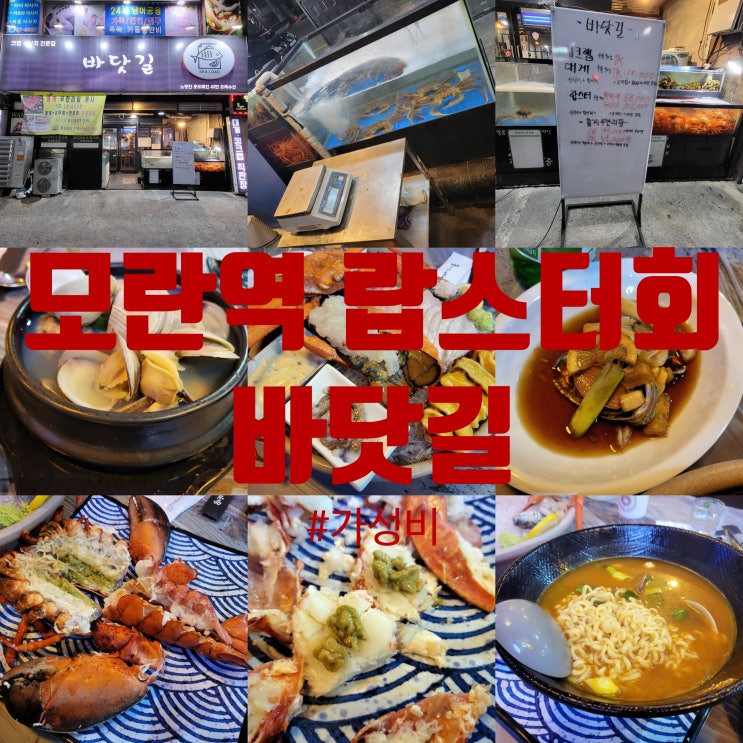 모란역 랍스터 회 대게 홍게무한리필 가성비 좋은 맛집 바닷길 네이버 블로그