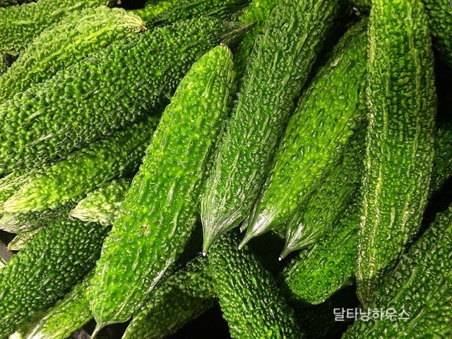 당뇨에좋은음식 당뇨 혈당강화 조절 좋다는 여주 효능 건여주 효능 여주 먹는법 여주 부작용 여주 부작용 여주 쓴맛 제거 네이버 블로그