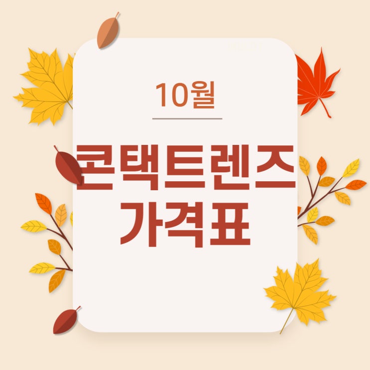 10월 콘택트렌즈 가격표🍁🍂 으뜸플러스 중계점 노원콘택트 노원팩렌즈 노원 중계동 은행사거리안경 아큐브 알콘 바슈롬 쿠퍼비전