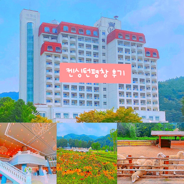 평창호캉스 켄싱턴평창 아이들과가볼만한곳 W 수영장 오락실 키즈카페 부대시설 리얼후기 네이버 블로그