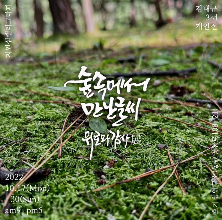 세번째 개인전 숲속에서 만난글씨 위로와 감사展 : 네이버 블로그