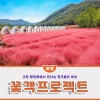 가을에 가볼만한곳 고창 꽃객프로젝트 핑크뮬리 축제 가을 꽃구경 네이버 블로그