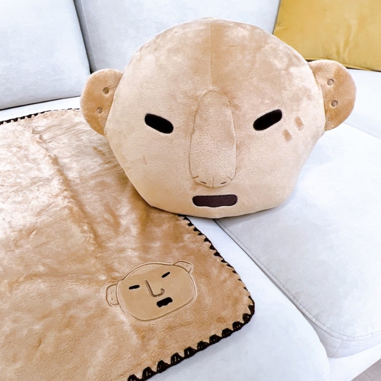 국립진주박물관 뮤지엄샵 뮷즈 두기우기 쿠션담요 : 네이버 블로그