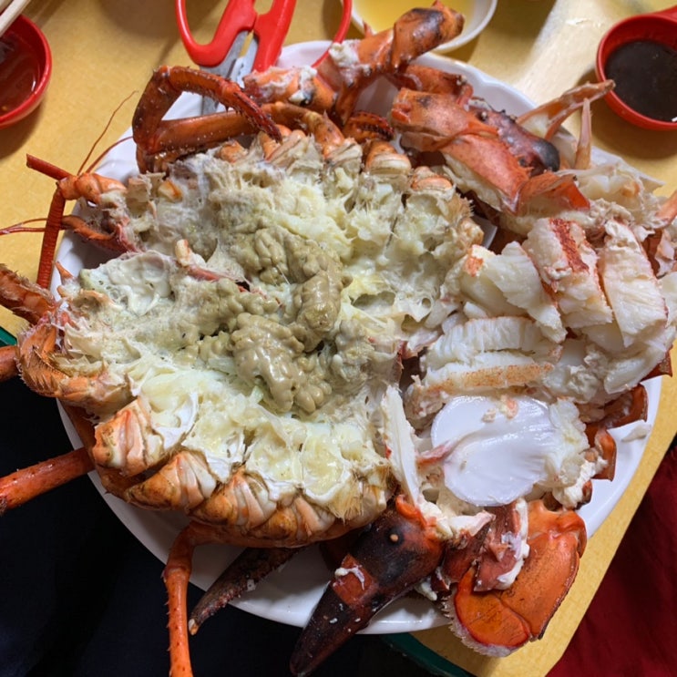 부산우동 해운대 포장마차촌 바다마을 랍스터코스이모 오마카세 최고 3인 가격 코스구성 갈매기2호 주차 운영시간