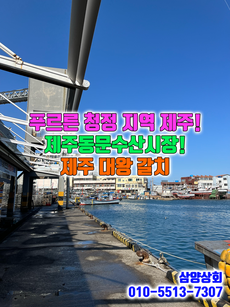 제주 동문 수산 시장 갈치 특대는 삼양상회 방문 후기 네이버 블로그
