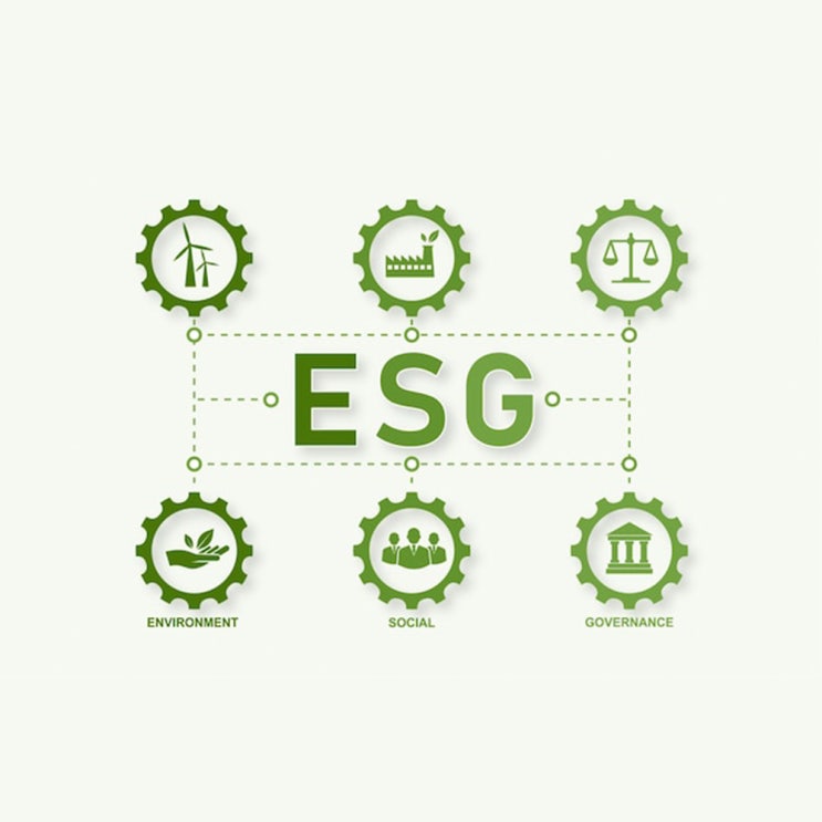 요즘 유행하는 'ESG 경영'의 사전적인 의미 그리고 문제점 : 네이버 블로그