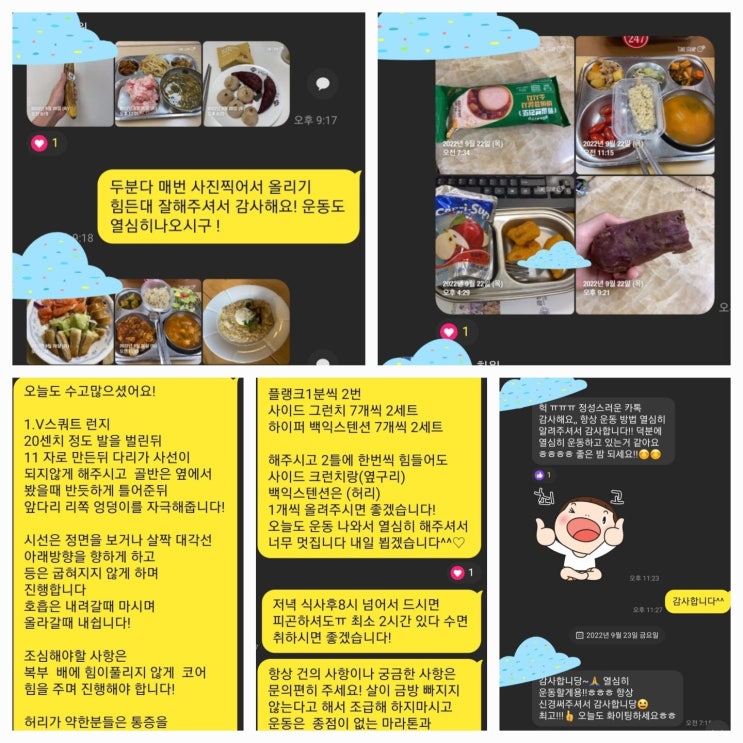 세종시 나성동 Pt 전문 퍼스트랩 피티 회원님 식단 관리 및 운동 프로그램 관리 헬스장 등록 불가능 체육학과 출신7가지
