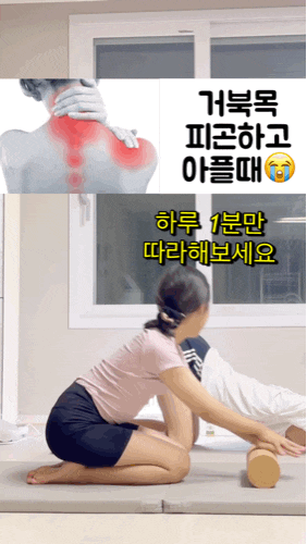 필라테스 폼롤러 스트레칭 마사지 사용법 추천 종아리 허벅지 허리 어깨 운동 네이버 블로그