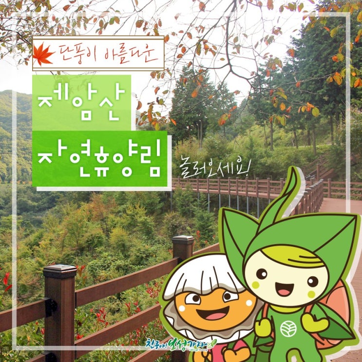 단풍이 아름다운 보성 제암산 자연휴양림에 놀러오세요 네이버 블로그