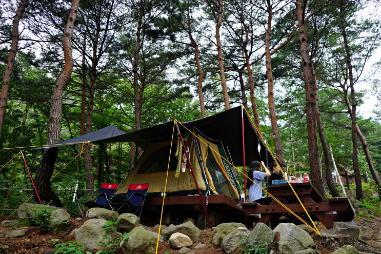 영덕군 칠보산 국립자연휴양림 2박3일소똥구리장맛비칠보산자연휴양림 네이버 블로그