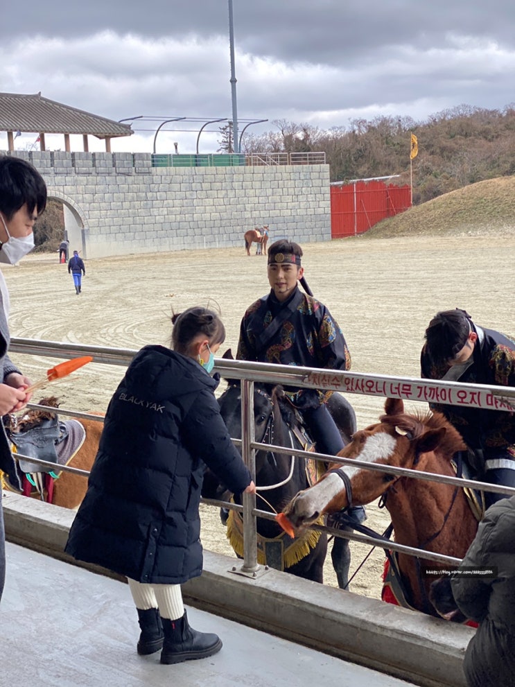 아이와 제주여행 가볼만한곳 더마파크 기마공연 점보빌리지 코끼리쇼 찐후기 네이버 블로그