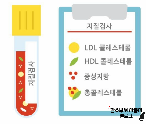 중성지방(Triglyceride) 정상 수치와 Lipid Battery 검사 : 네이버 블로그