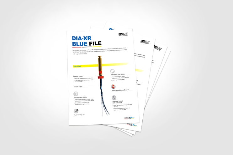 [리플렛]다이아덴트 : DIA-XR Blue File : 네이버 블로그
