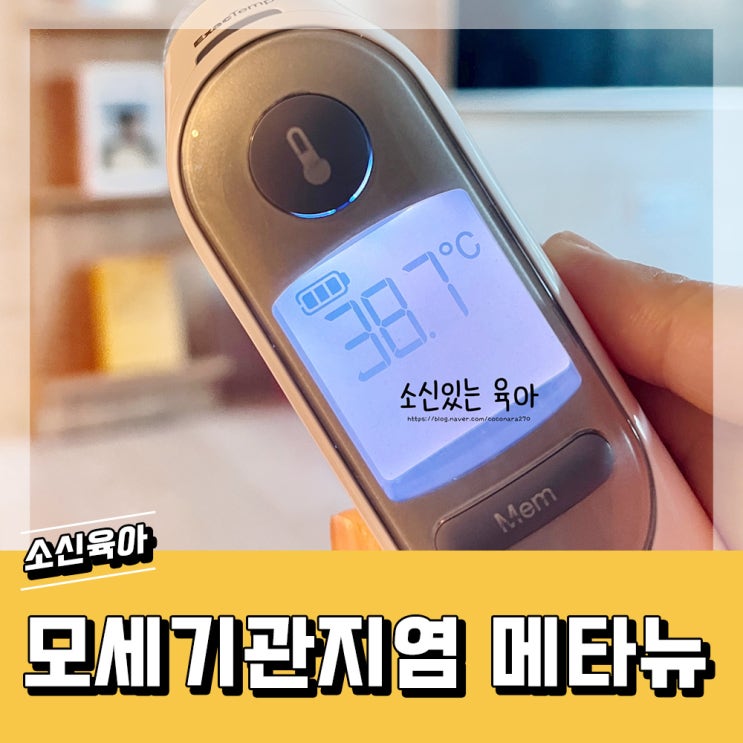 모세기관지염 메타뉴모바이러스 증상 전염 유아 열감기 아기 가래소리 네이버 블로그