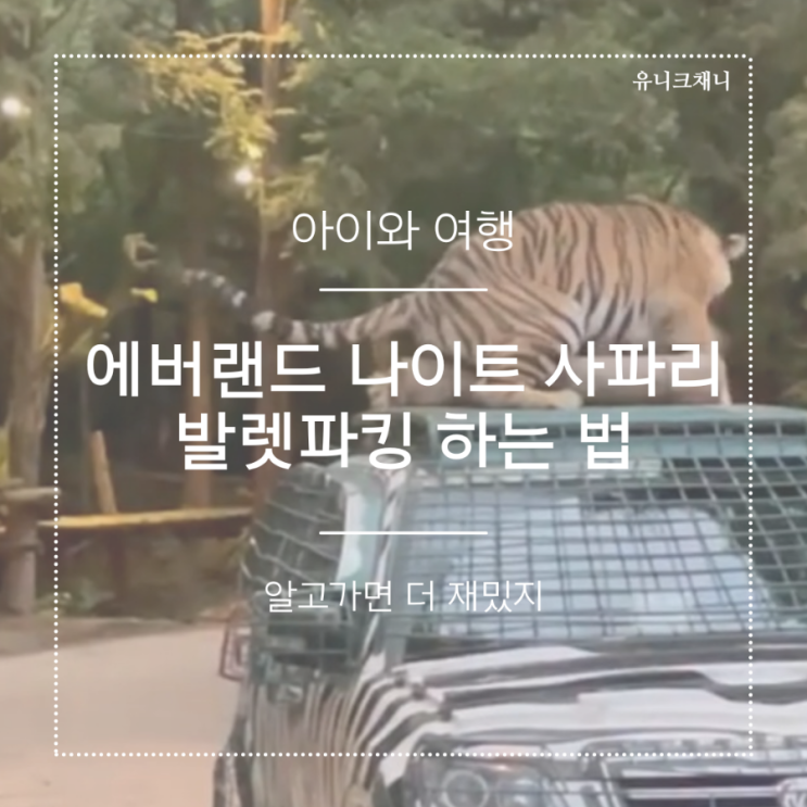 에버랜드 나이트 사파리 발렛파킹 예약 팁 네이버 블로그