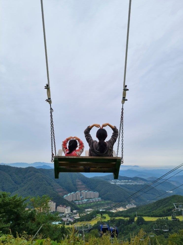 홍천 소노벨 비발디파크 아이들 놀거리가 많아요하늘양떼목장스카이스윙 네이버 블로그