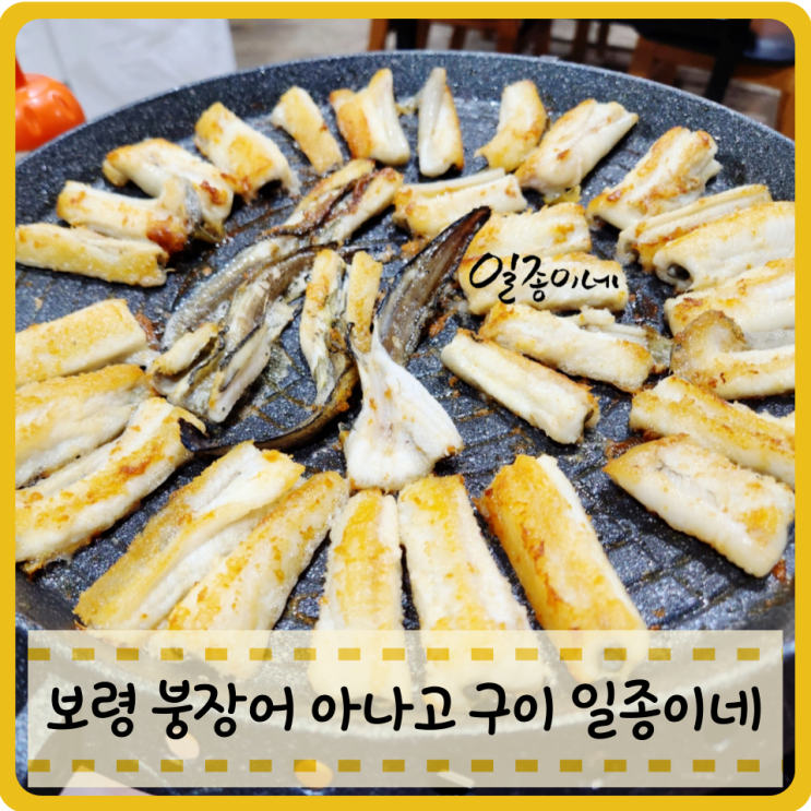 보령 맛집 붕장어 아나고 소금구이 간재미회무침 일종이네 네이버 블로그