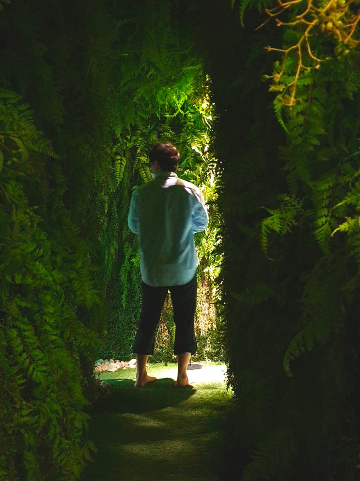 성수동 전시 체험 섬세이테라리움 : 맨발로 자연을 느끼다 : 네이버 블로그