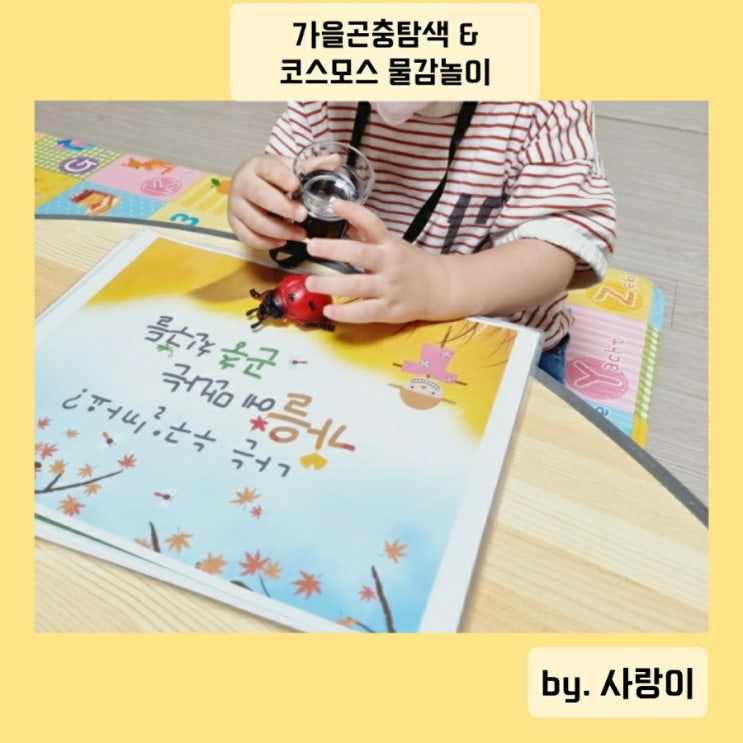 호반아이사랑♡ 만2세발달과정발달특성발달수준 4세놀이 4세발달과정 만2세가을놀이 탐색나는누구일까요가을곤충 가을곤충탐색하기 루페