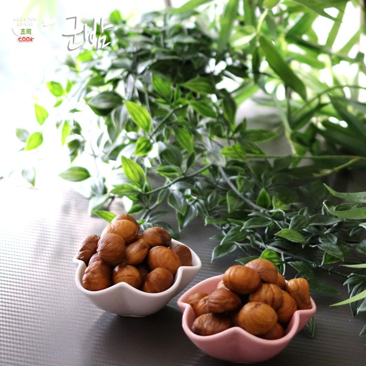 에어프라이기 군밤 굽기 칼집밤 오븐 에어프라이어밤 밤보관법 네이버 블로그