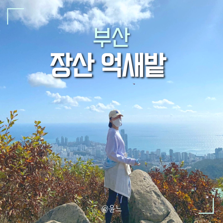 해운대 장산등산 억새밭 보고 정상까지 주차장 및 요금 정보 네이버 블로그