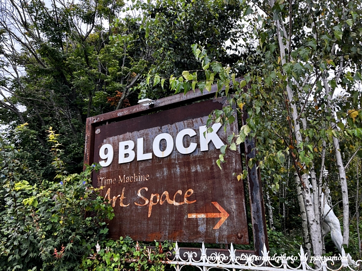 양평 서종면 카페, 나인블럭 9BLOCK 초록 뷰맛집 : 네이버 블로그