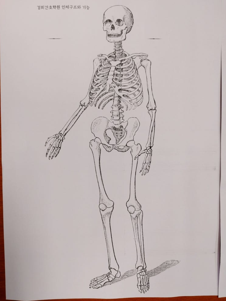 간호조무사 인체구조와 기능 충주경희간호학원 해부학수업은 이렇게 진행합니다 교과목별 담당교수제 진행 충주 제천 국비지원 간호