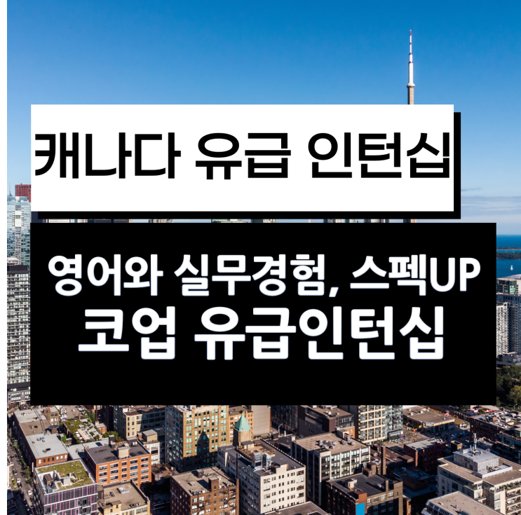 영어와 실무경험 스펙을 높여주는 캐나다 유급인턴십코업 네이버 블로그