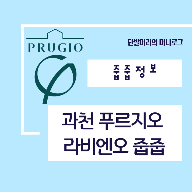 과천 푸르지오 라비엔오 줍줍 계약취소주택 무순위 청약정보 네이버 블로그