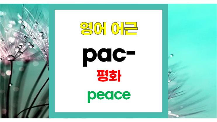[영어어원과 어근] pay, peace, Pacific의 어원은 라틴어 pax, pacis, 어근은 pac : 네이버 블로그