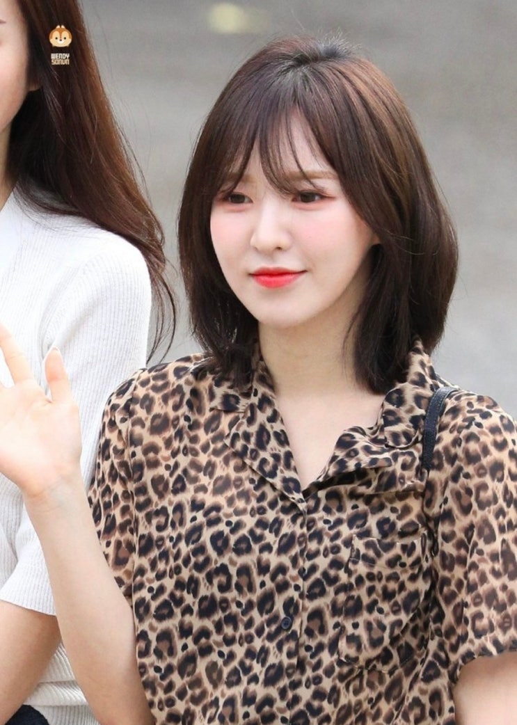 웬디 중단발 허쉬컷 헤어스타일 단발병 뽐뿌 스타일링zip 네이버 블로그