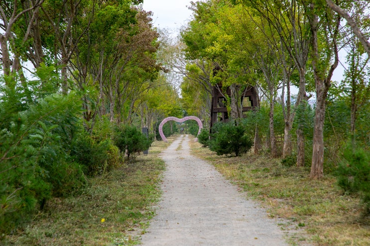 수원 근교 드라이브 코스 화성 비봉습지공원 네이버 블로그