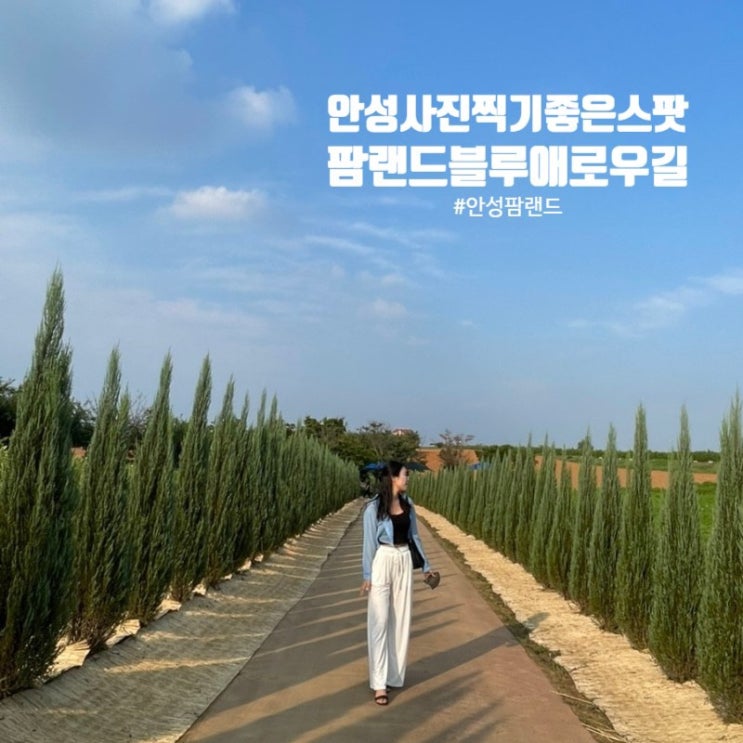 안성당일치기여행 ♪ 안성팜랜드 블루애로우길 늦여름 초록초록한 팜랜드에서 산책하며 힐링하기 네이버 블로그