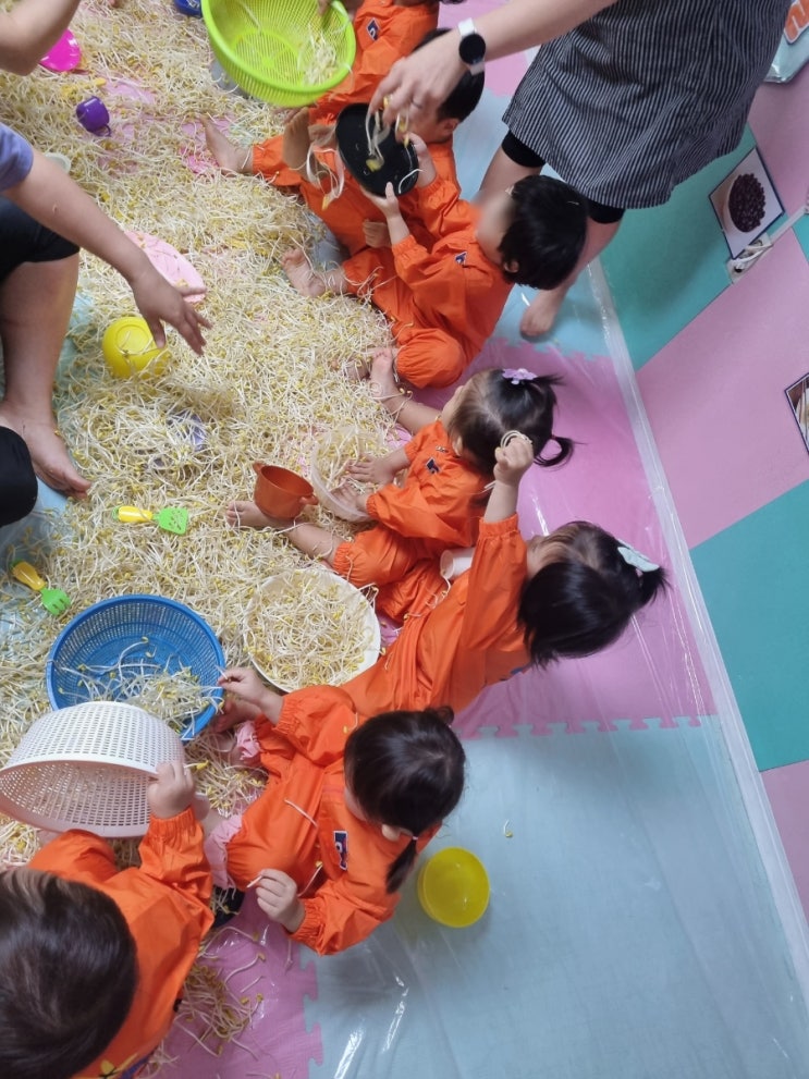 콩나물 오감놀이 : 네이버 블로그