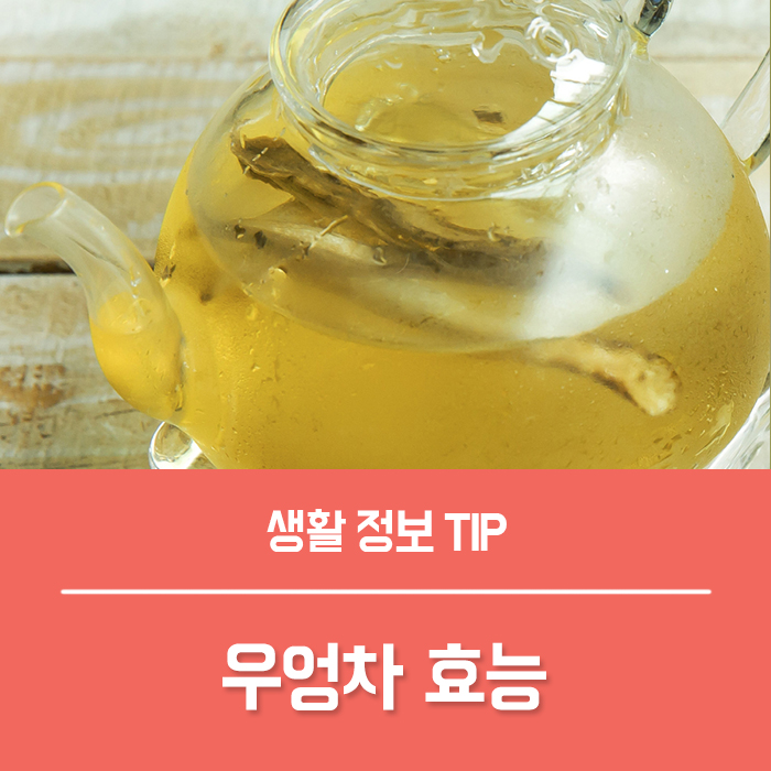 우엉 효능 8가지 우엉차 효능 임산부 우엉차 괜찮을까요 네이버 블로그